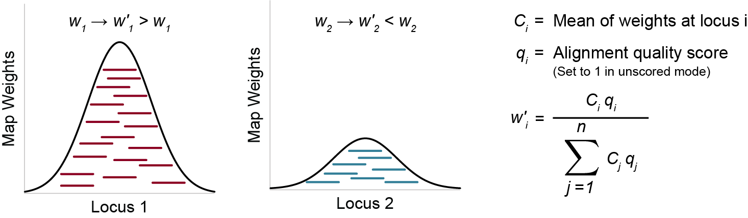 Sequence deeper without sequencing more: Bayesian resolution of ambiguously mapped reads | Rohan ...